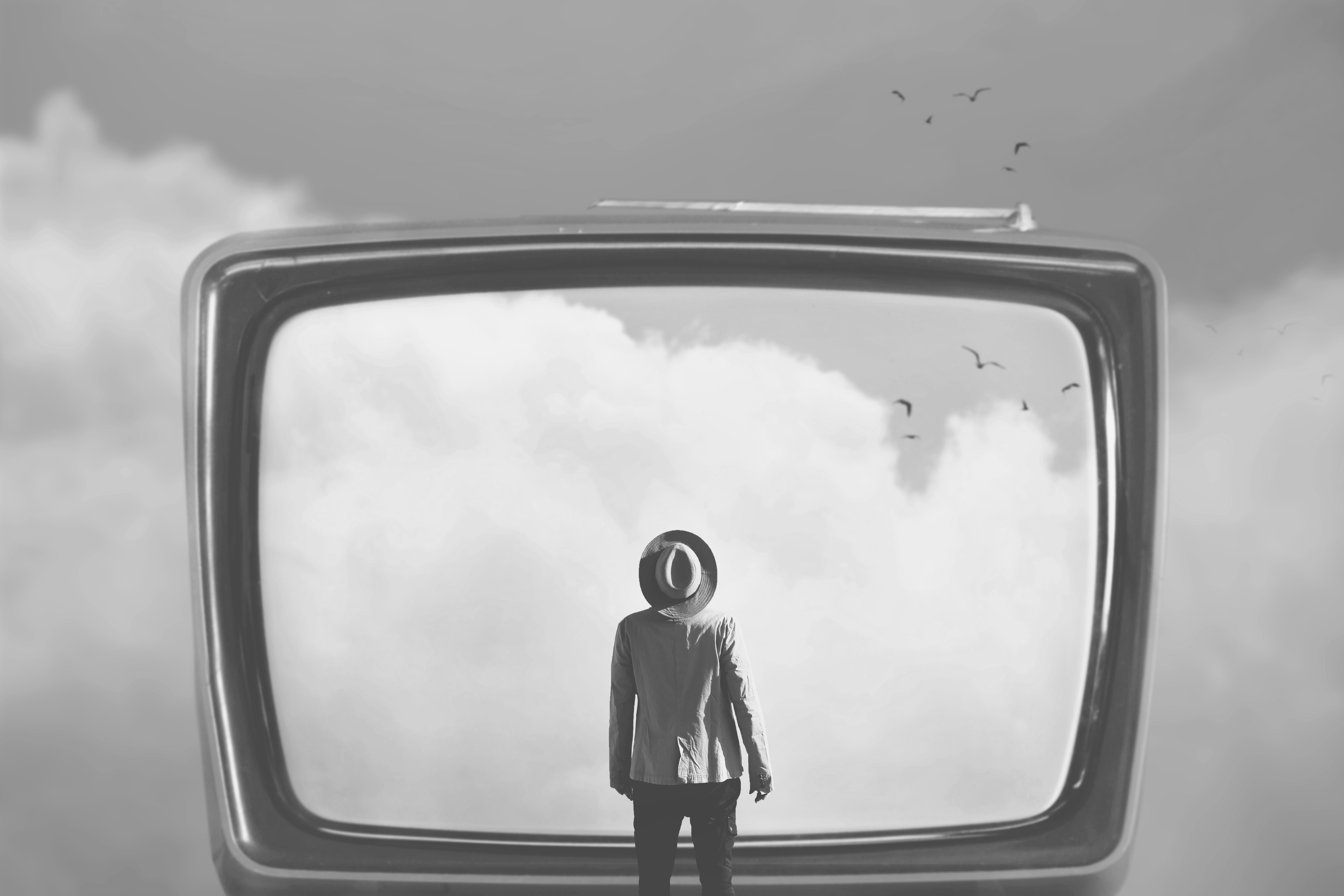 The Not TV Focus | shots
